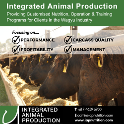 Wagyu Breedplan | Australian Wagyu Association