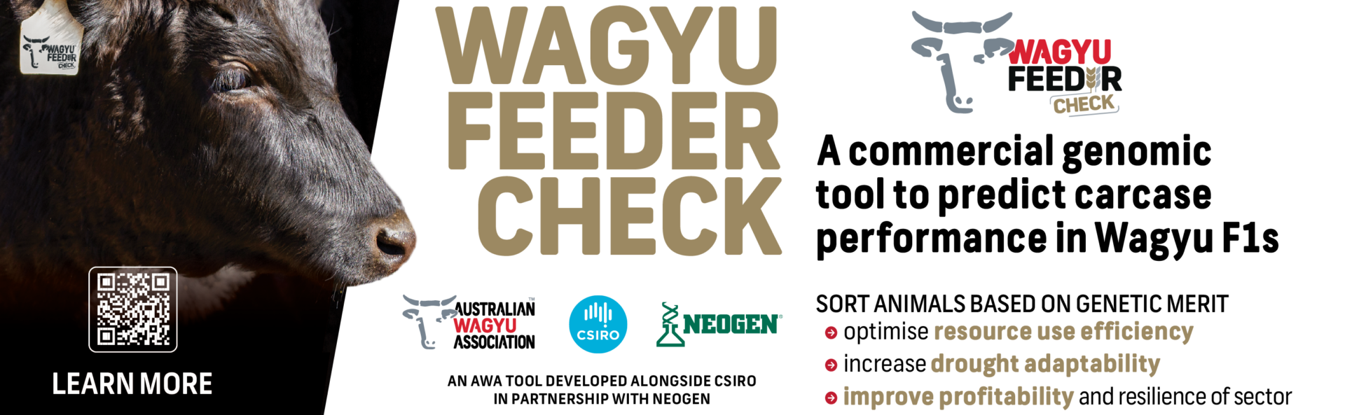 Continued success for Australian Wagyu Sector | Australian Wagyu Association