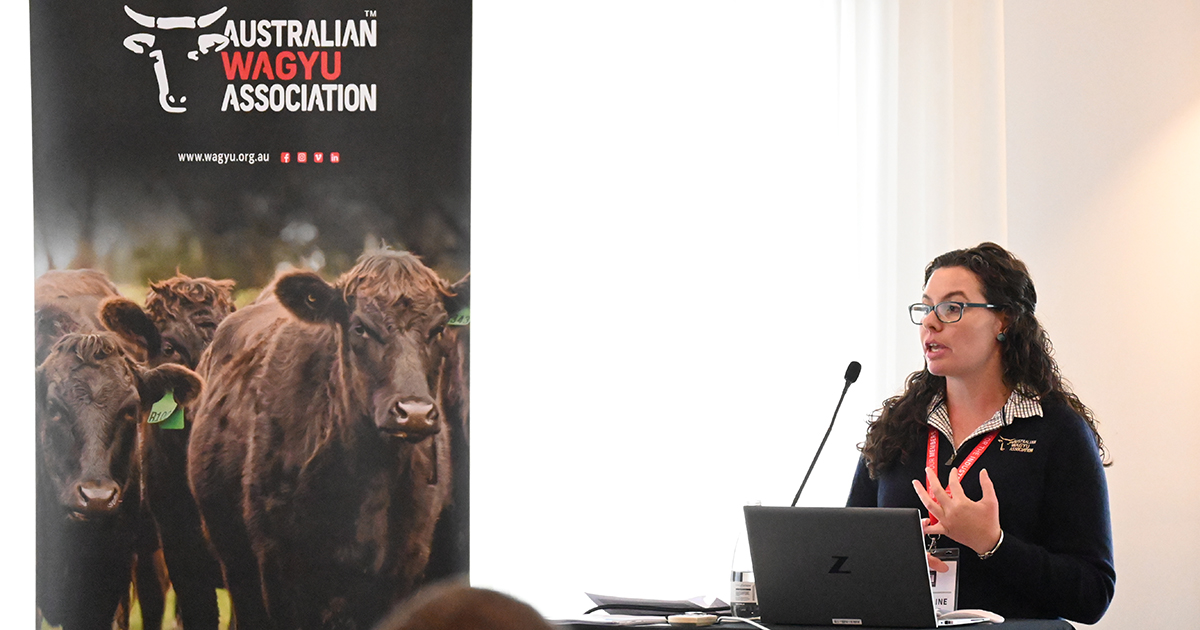 Regional Workshops: A Resounding Success – Recordings Now Available ...